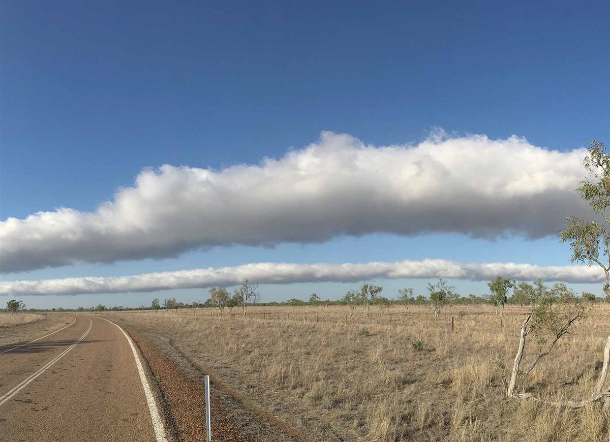 Things to know before you go | Explore Burke