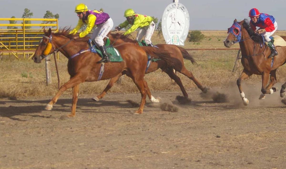 Saddles and Paddles | Explore Burke